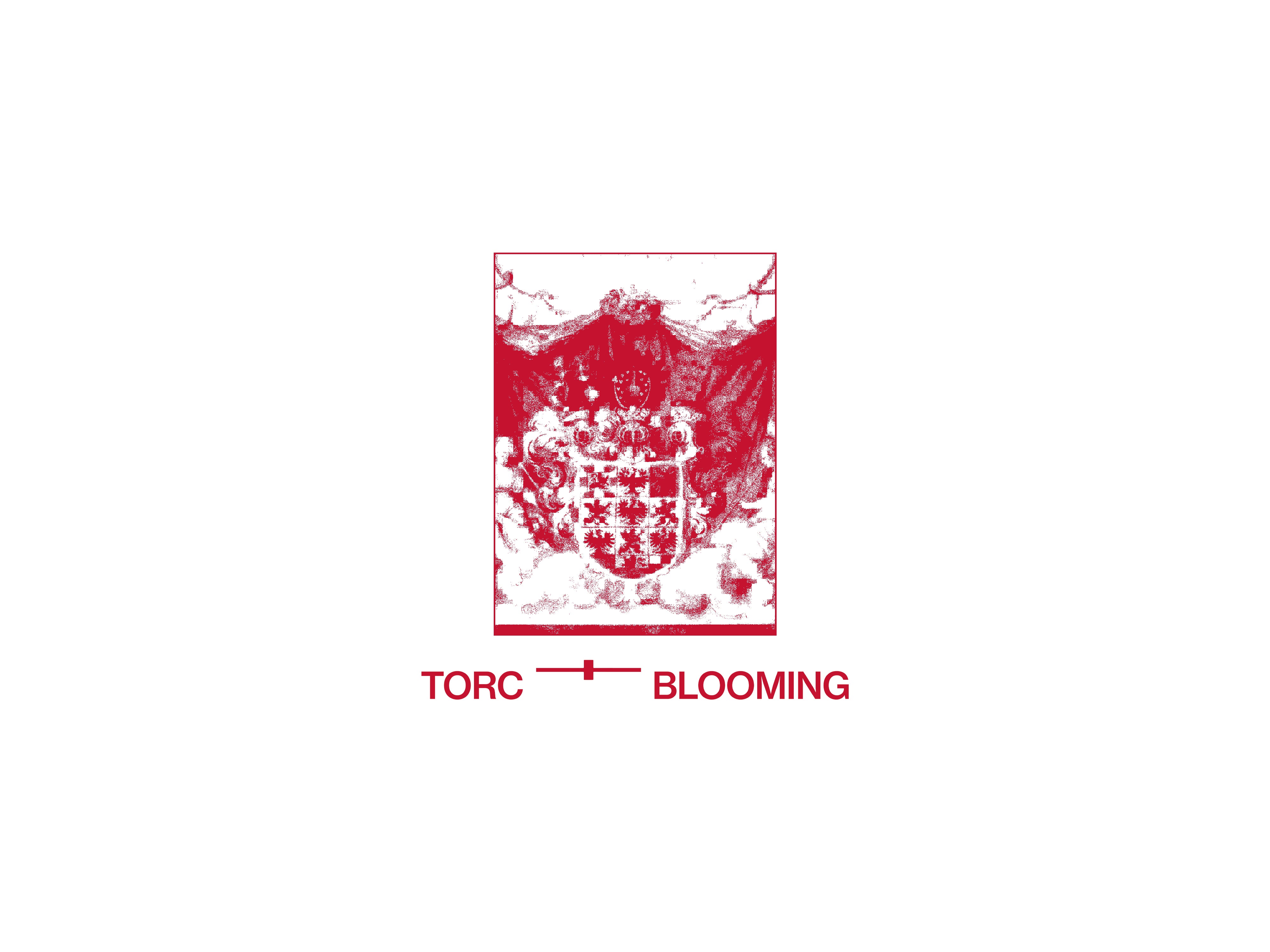 TORC BLOOMING 2024 OCTOBER – Torc Blooming